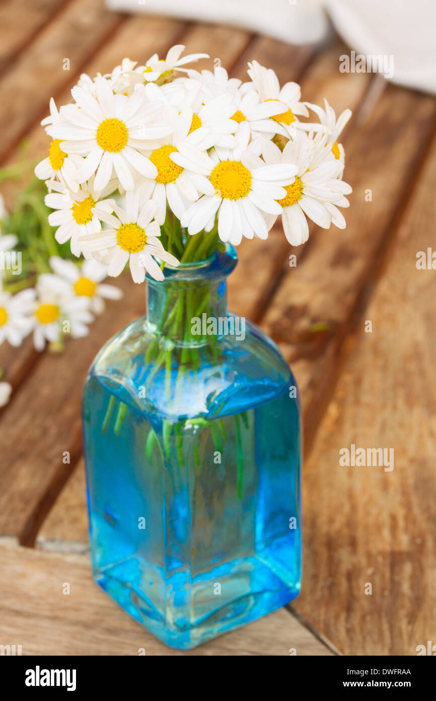 daisy flowers posy Stock Photo - Alamy