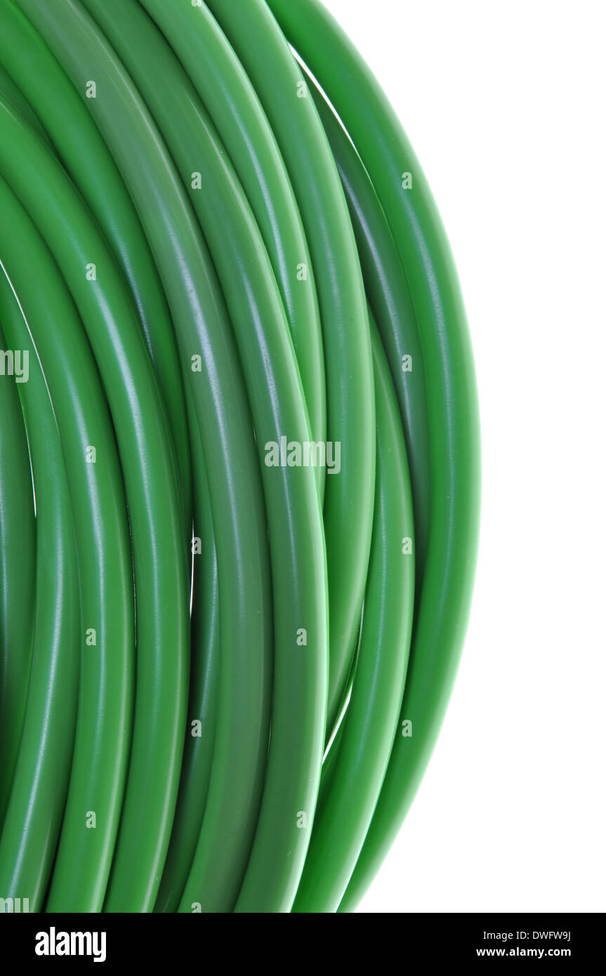 Green network cables, close up, isolated on white background Stock ...