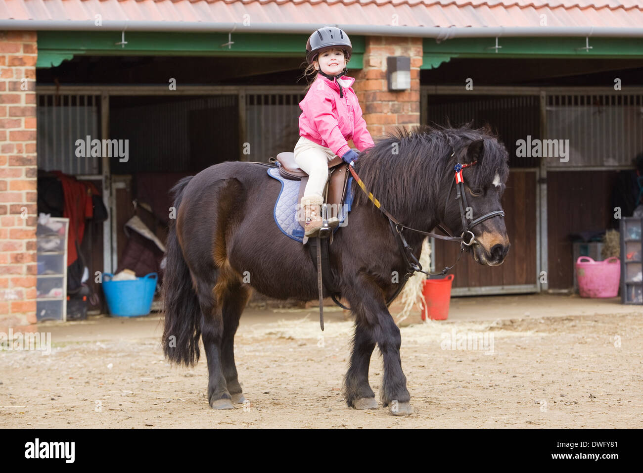 Horse riding lesson hi-res stock photography and images - Alamy