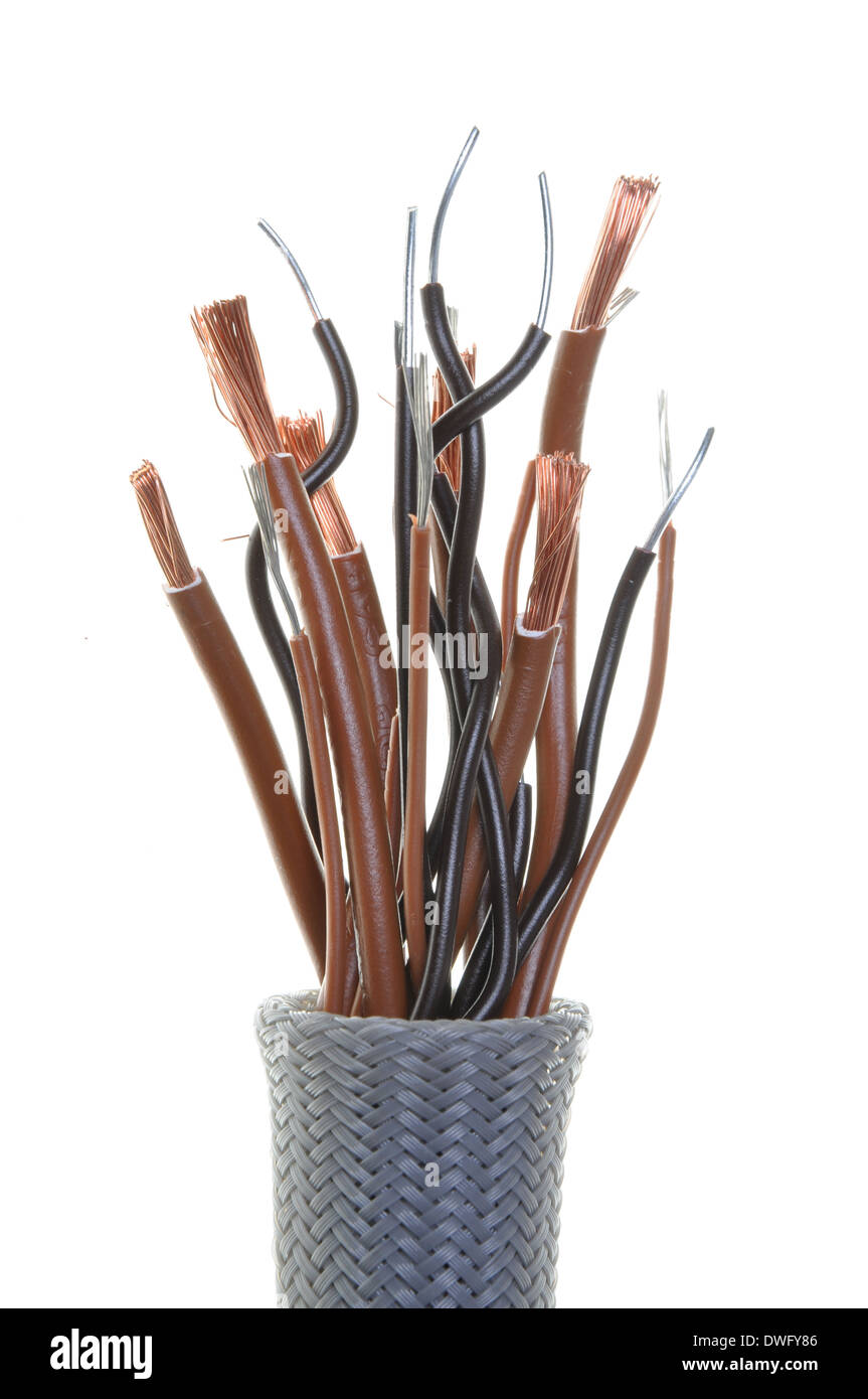 Protective tube with black electrical cables Stock Photo - Alamy