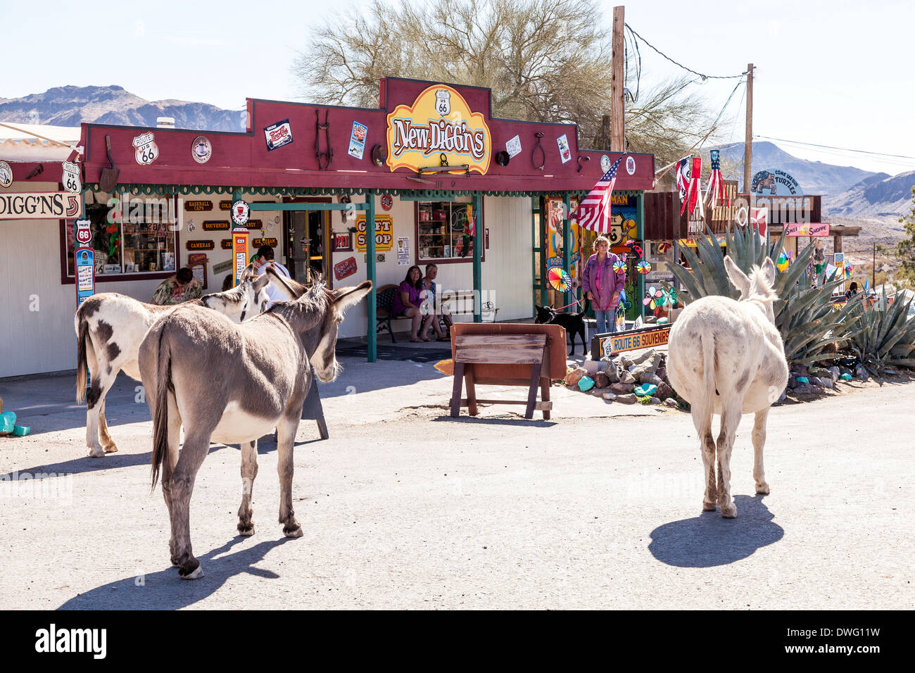 Wild West Cowboy Town of Oatman,Arizona,USA,America,on the history ...