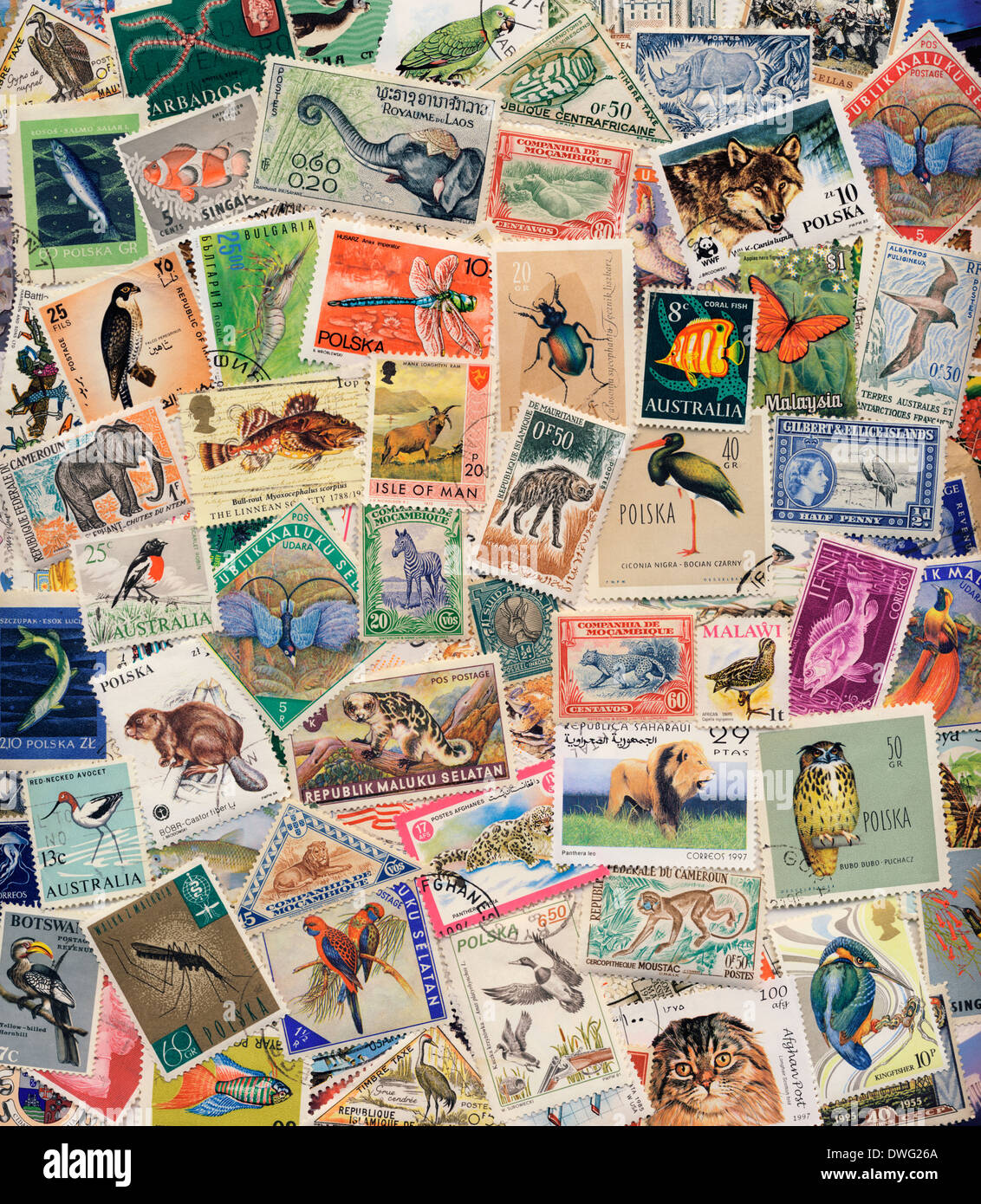 Postage Stamps of Wildlife Stock Photo - Alamy