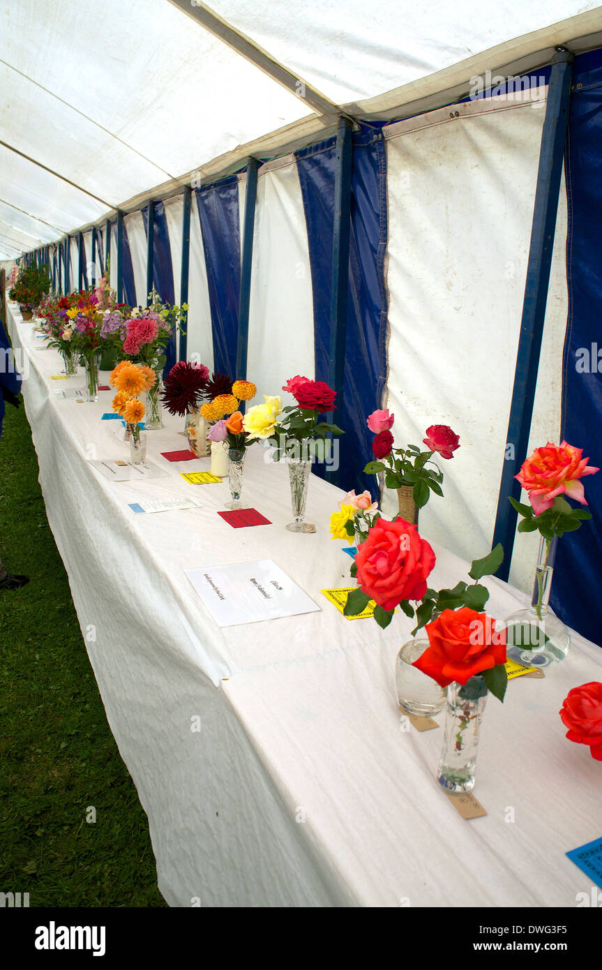 Britain in bloom competition hi-res stock photography and images - Alamy