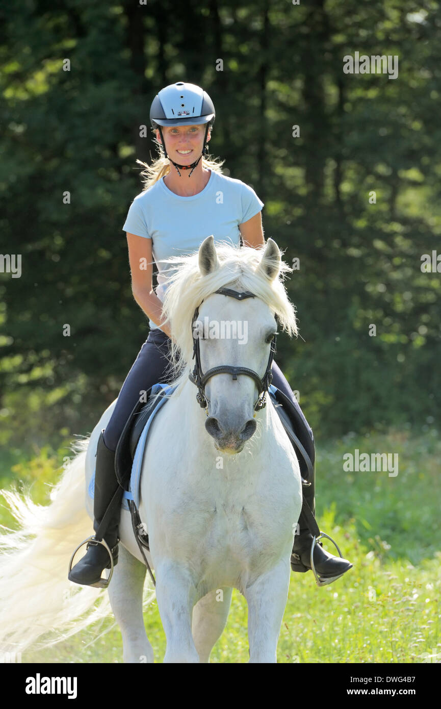 Ride out on back of a Connemara pony stallion Stock Photo - Alamy