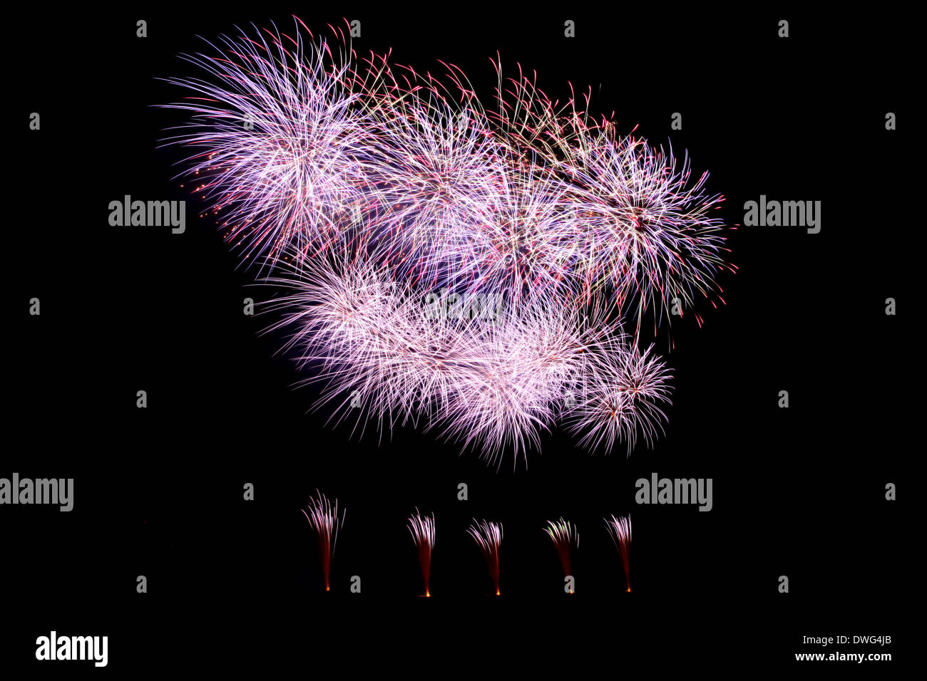 Pink purple combination hi-res stock photography and images - Alamy