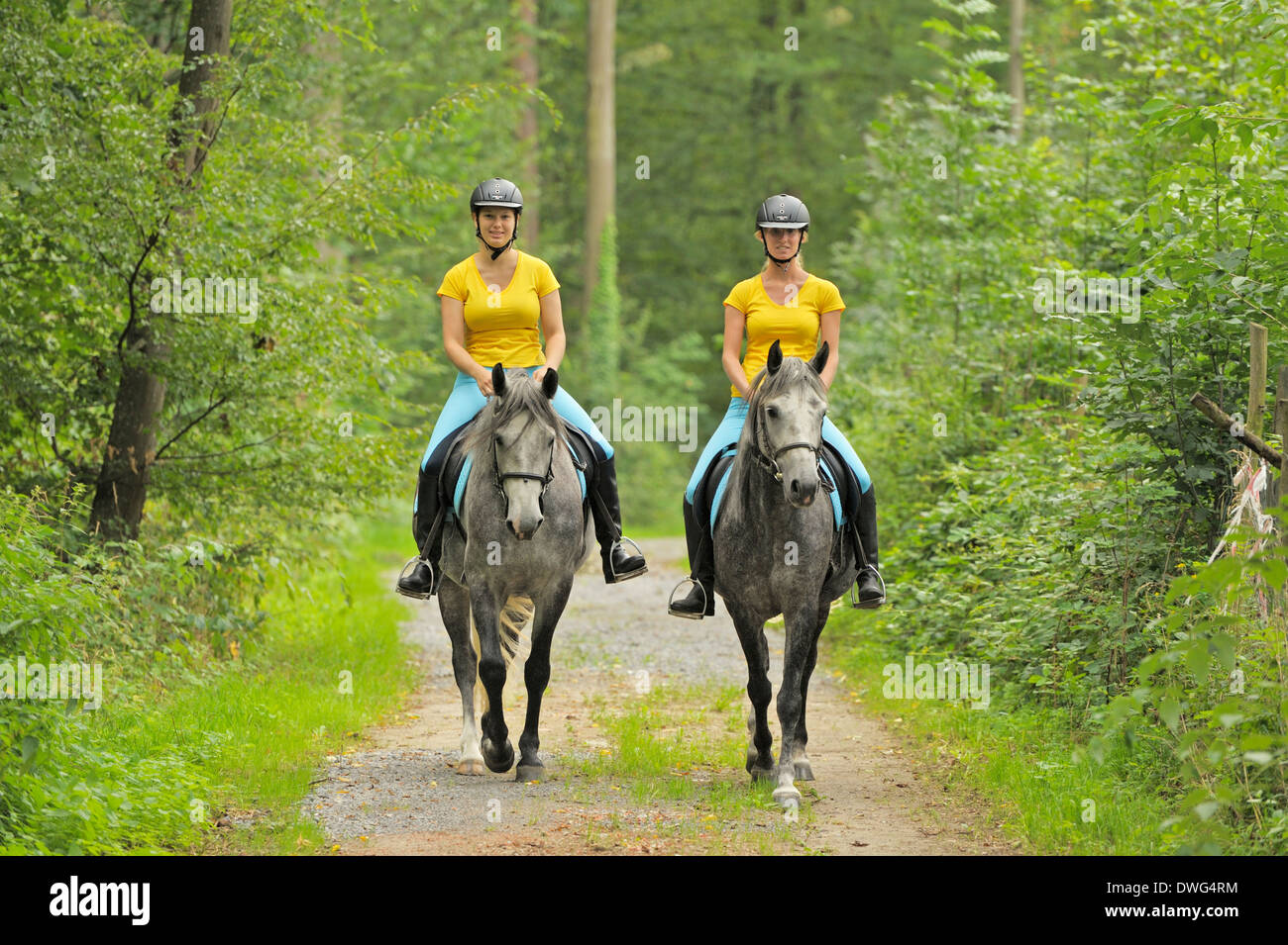 Ride out on Connemara ponies Stock Photo - Alamy