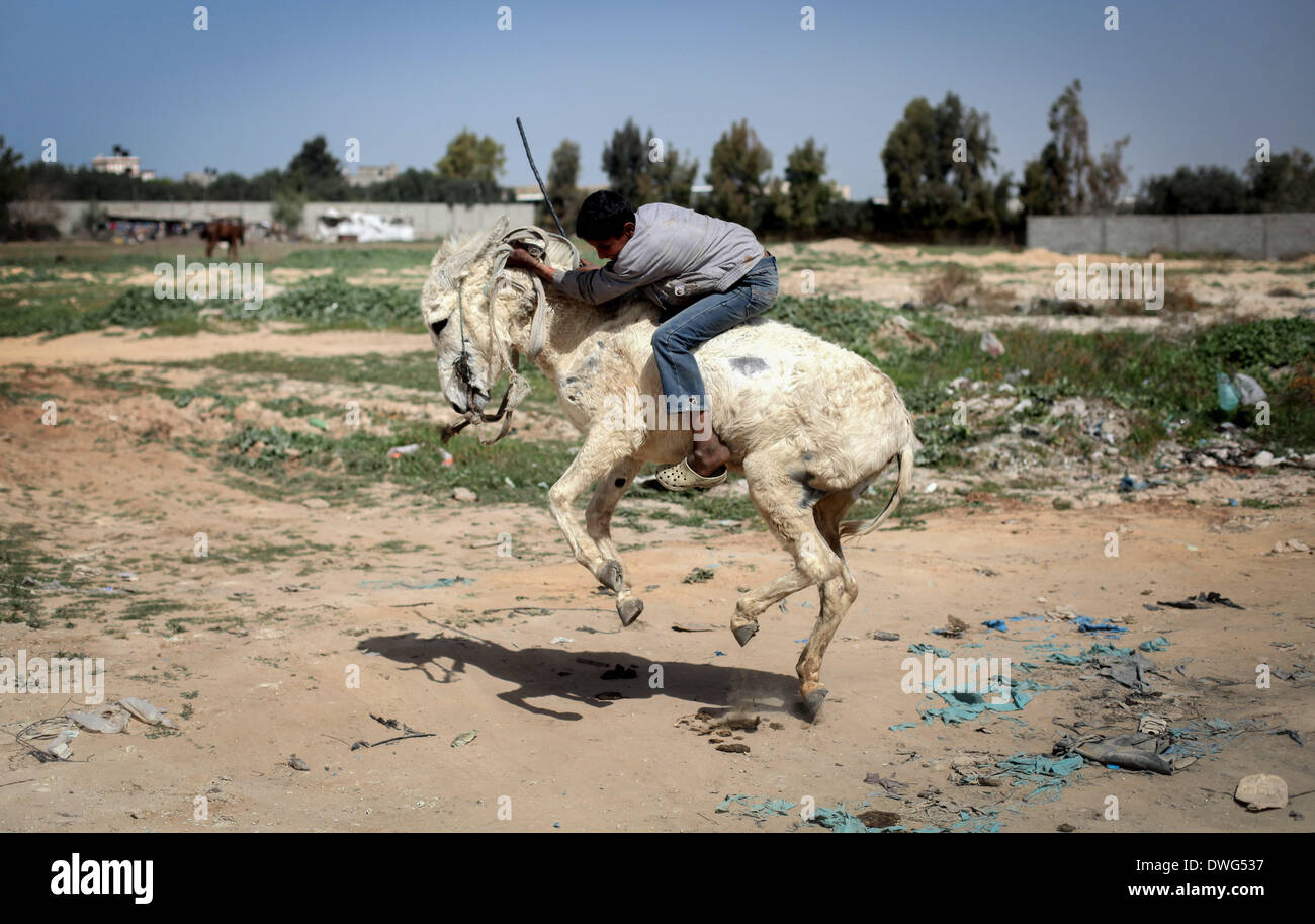 Gaza, Palestinian Territories. 7th Mar, 2014. Palestinian Bedouin ...