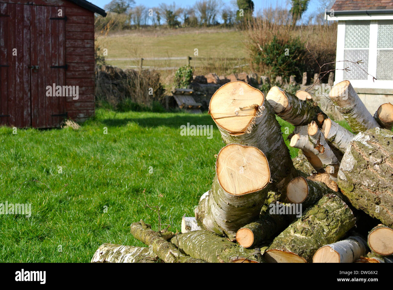 pile of logs in spring sunshine Stock Photo - Alamy