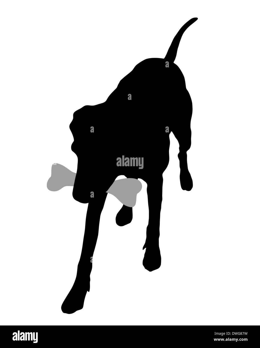Dog with bone Stock Photo - Alamy