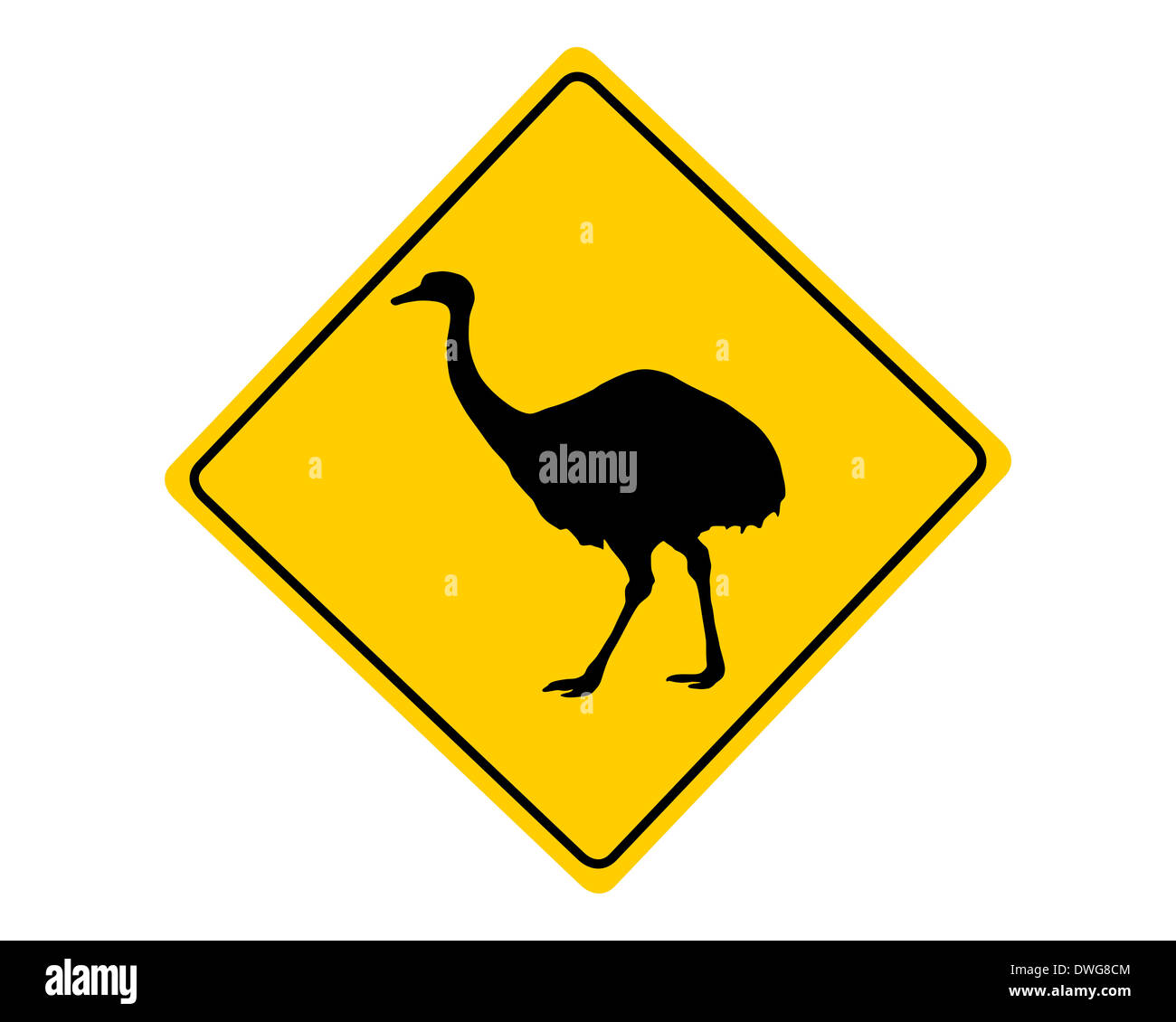 Flightless rhea Cut Out Stock Images & Pictures - Alamy