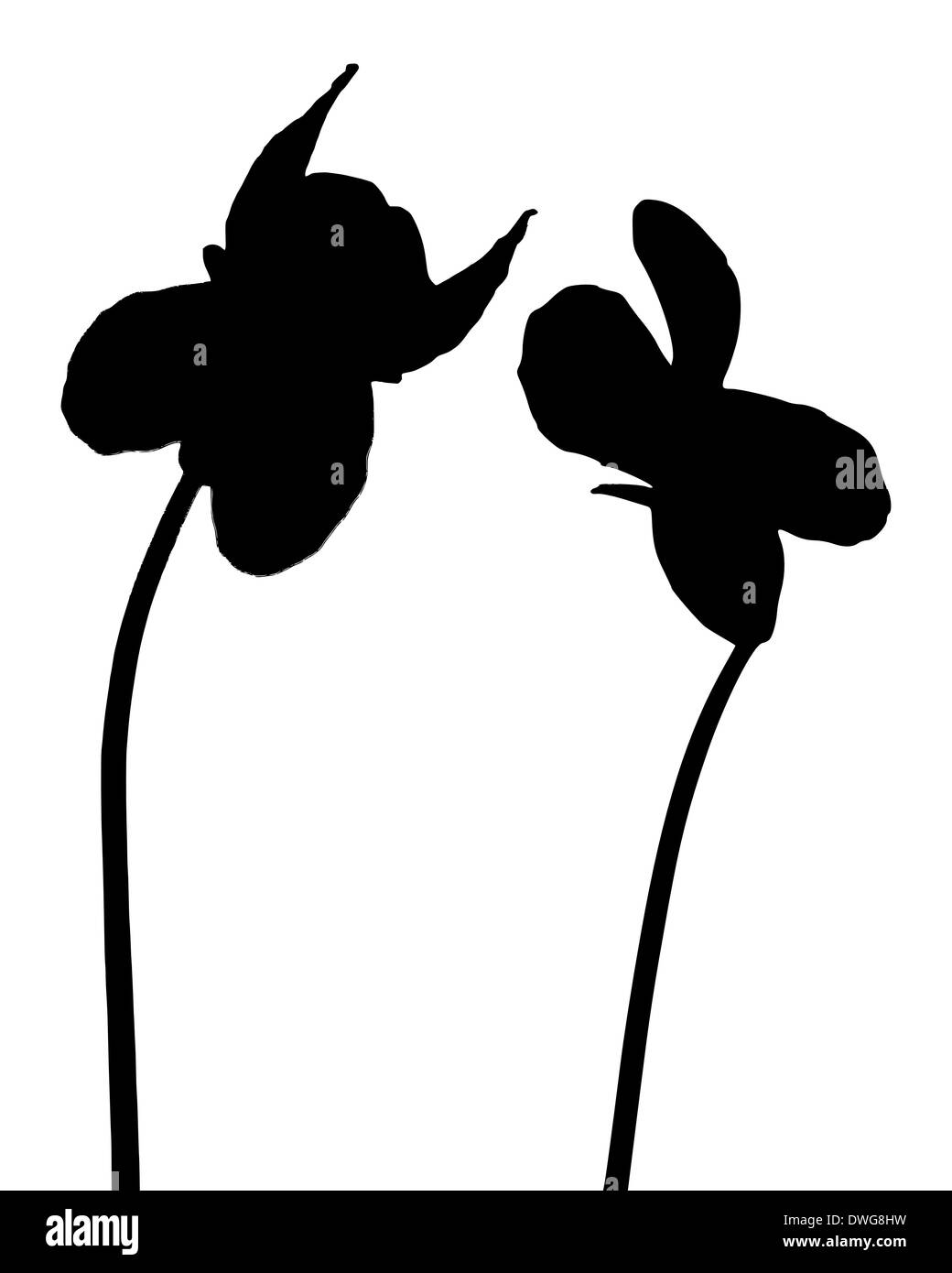 Viola silhouette Cut Out Stock Images & Pictures - Alamy