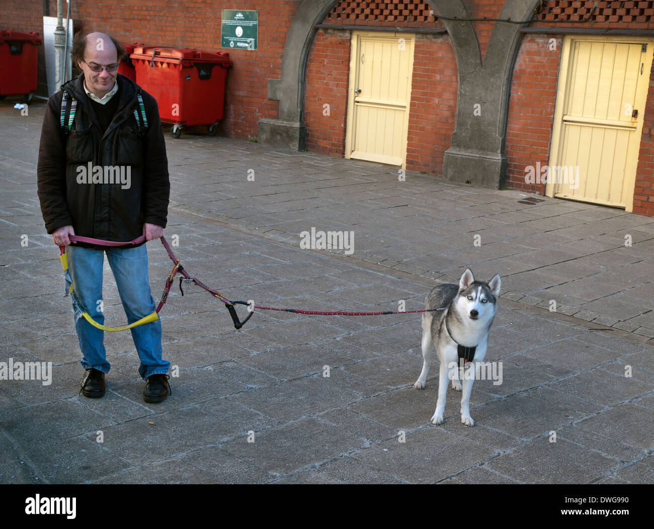 A bald man with his Husky dog in Brighton Stock Photo - Alamy