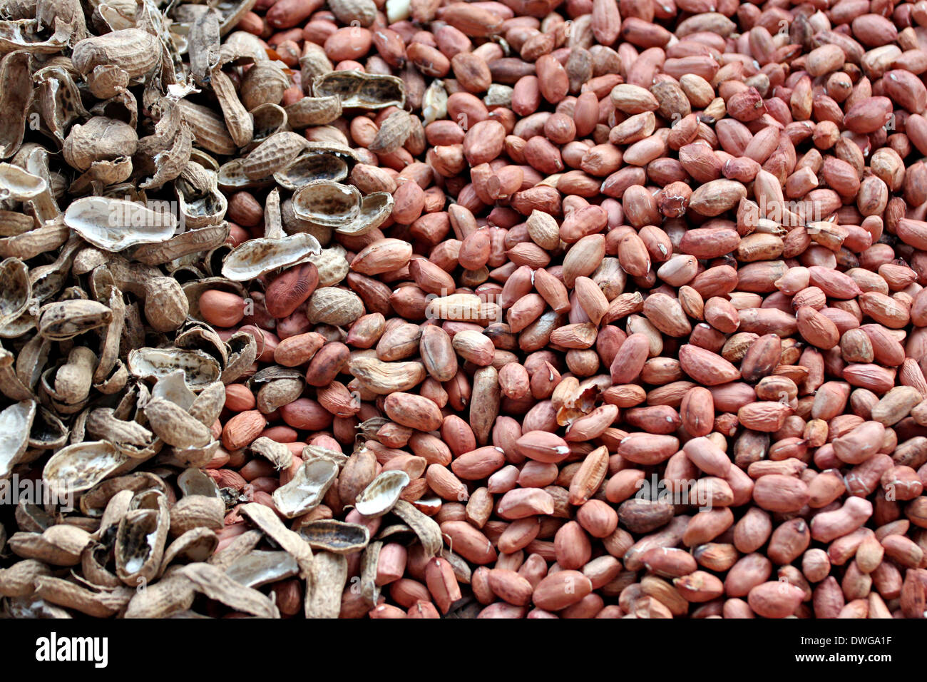 Peanuts shelled out and shell placed near Stock Photo - Alamy