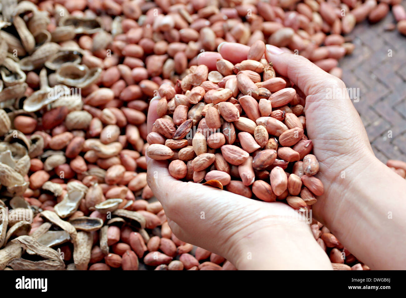 Peanuts shelled out in hand and look like a heart shape Stock Photo - Alamy