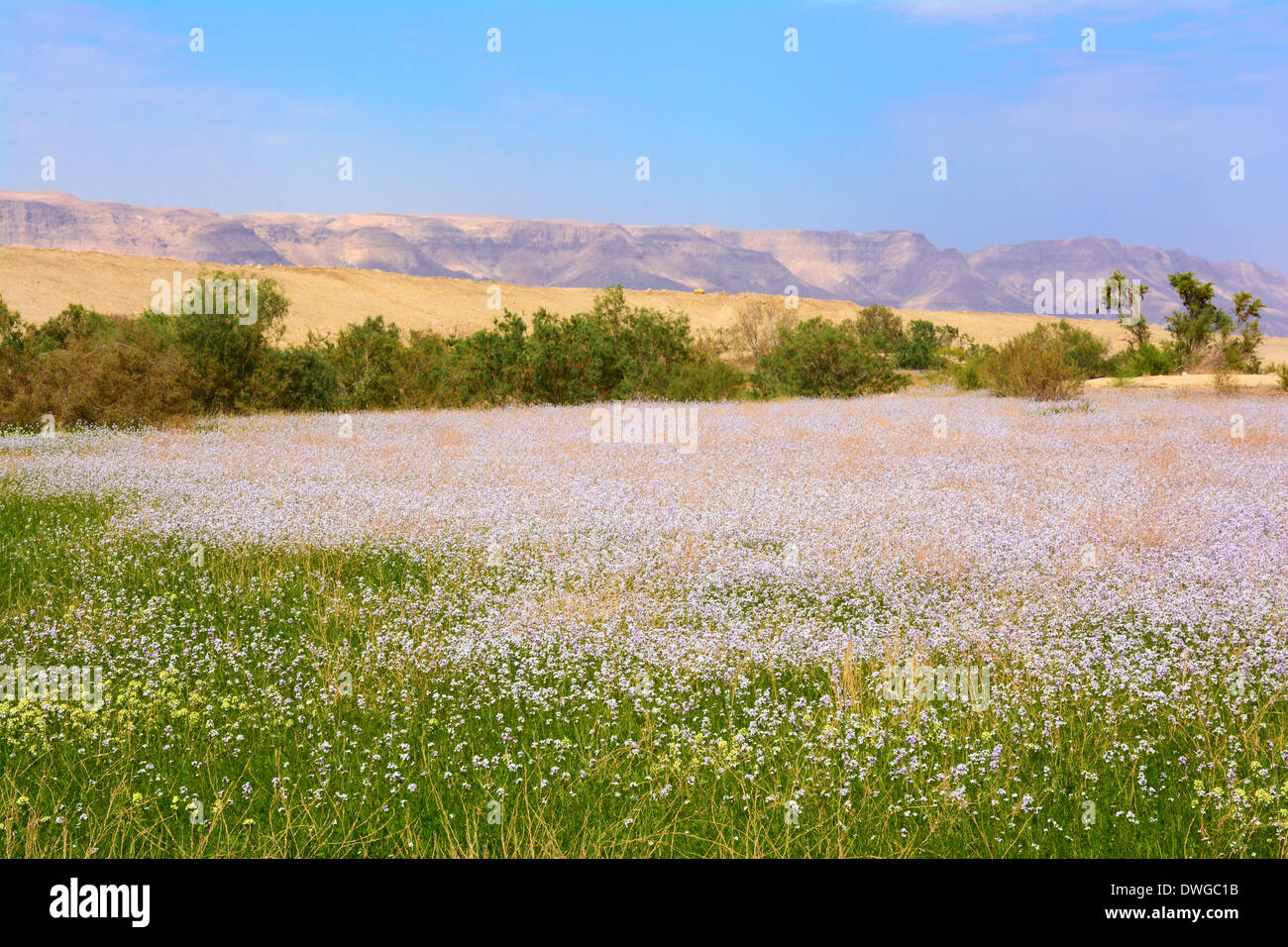 Israel hi-res stock photography and images - Alamy