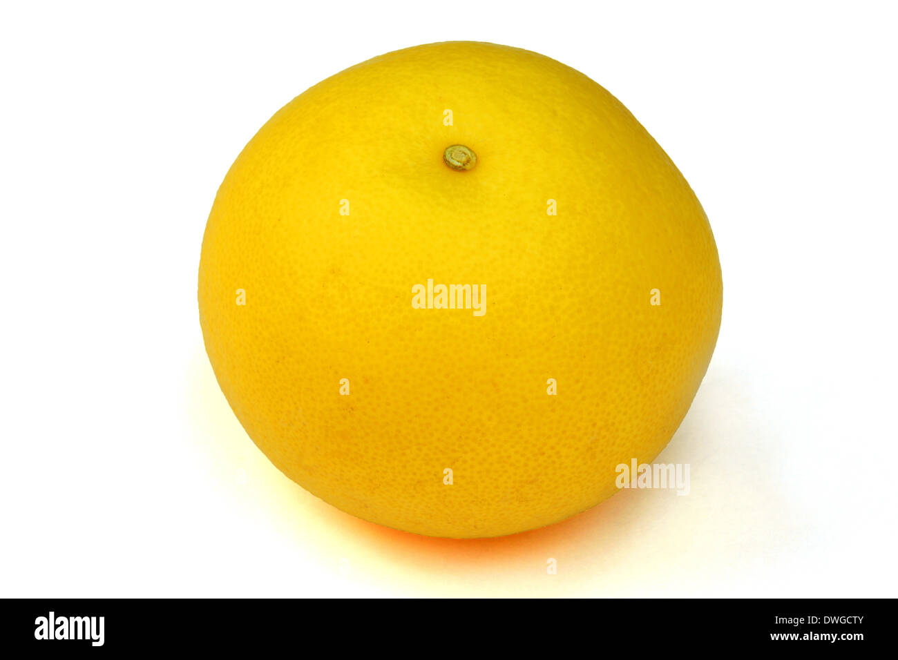 Yellow Grapefruit on white background Stock Photo - Alamy