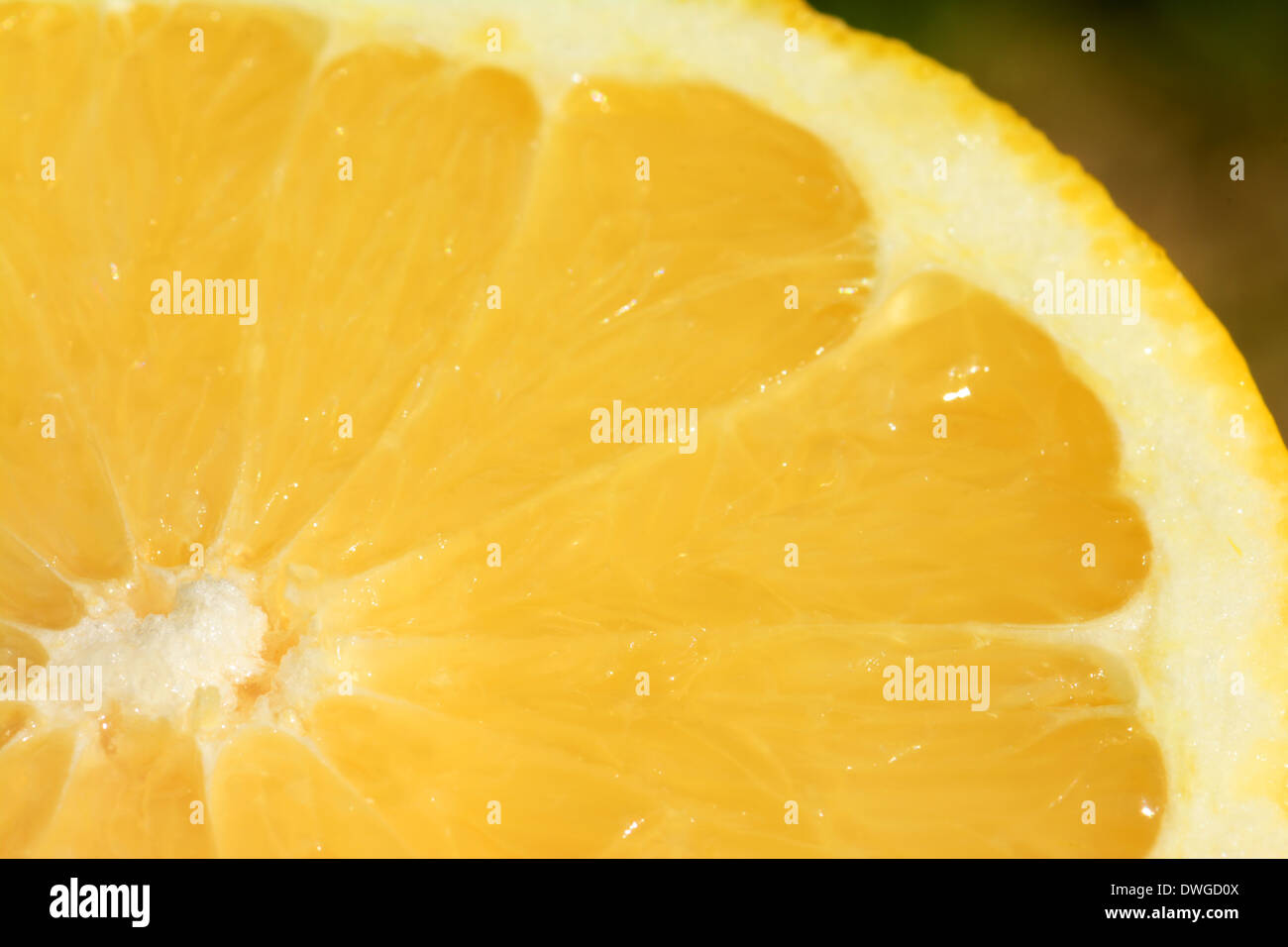 Yellow grapefruit hi-res stock photography and images - Alamy