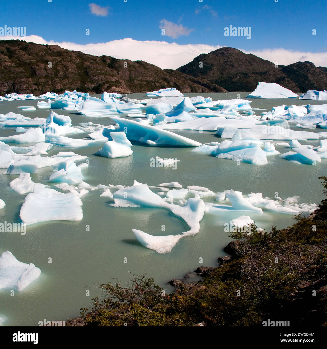 Patagonia icebergs ice field hi-res stock photography and images - Alamy
