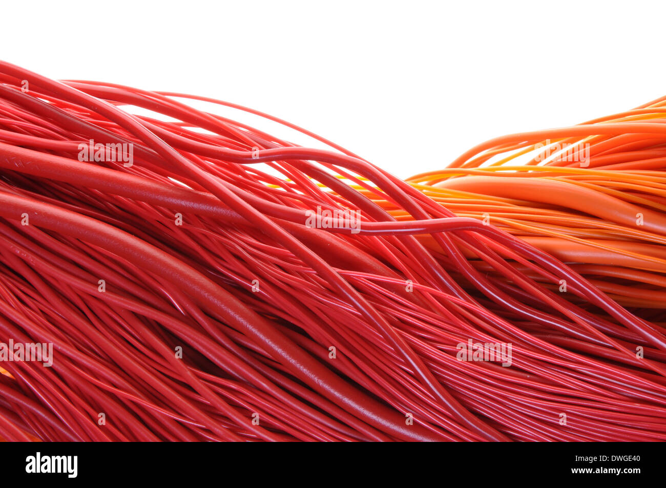 Network computer cable isolated on white background Stock Photo - Alamy