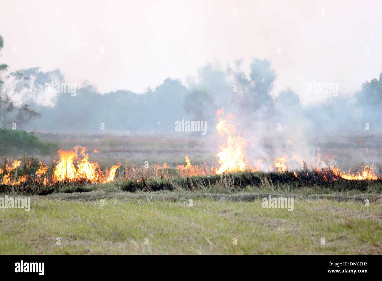 Farmer burning straw hi-res stock photography and images - Alamy