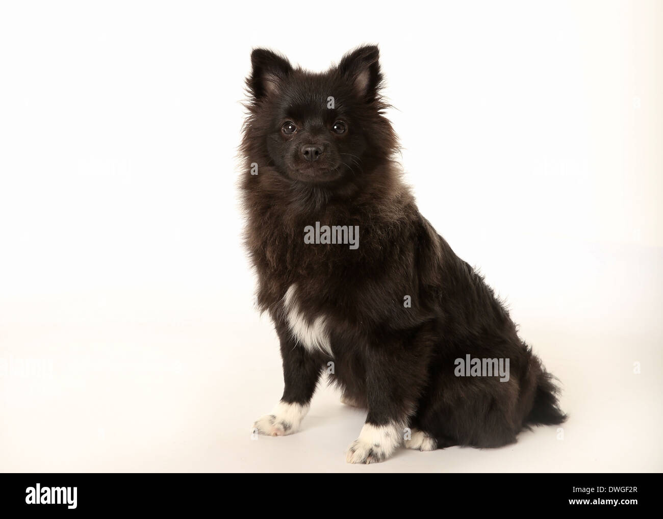 Studio black hi-res stock photography and images - Alamy