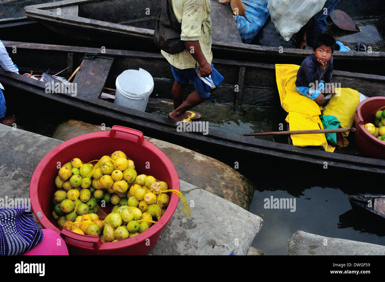Selling lemon - Harbour in LETICIA. Department of Amazonas.COLOMBIA ...