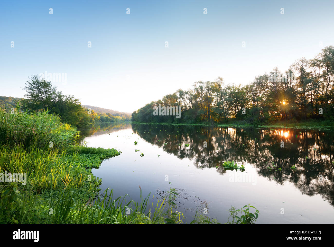 Beautiful sunrise behind trees hi-res stock photography and images - Alamy