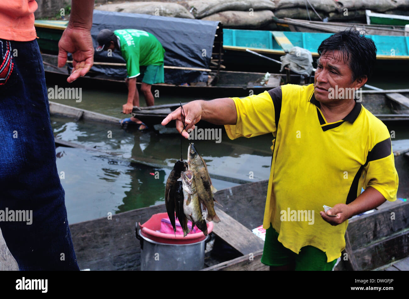 Selling Bagre fish- Harbour in LETICIA. Department of Amazonas.COLOMBIA ...