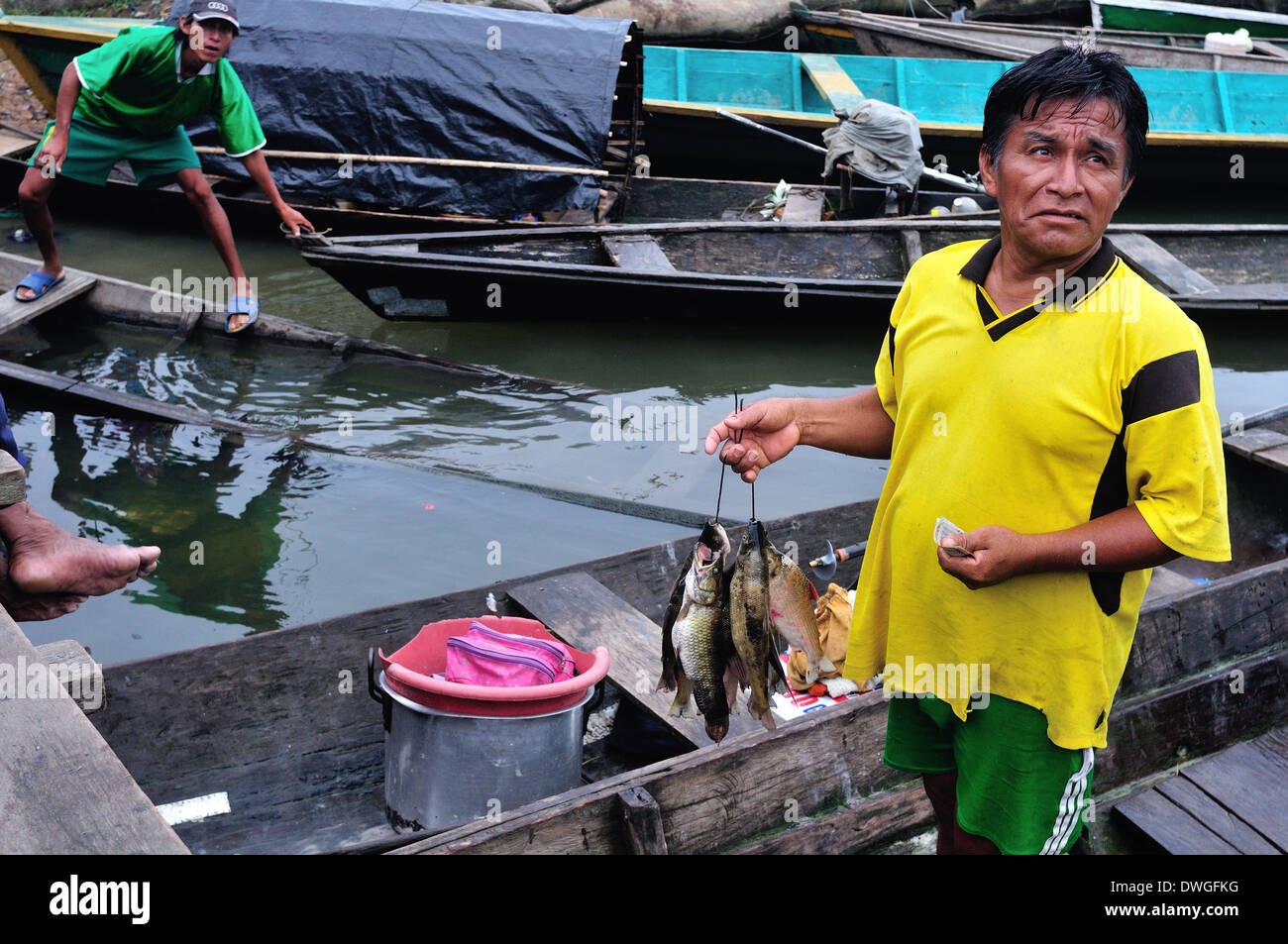 Selling Bagre fish- Harbour in LETICIA. Department of Amazonas.COLOMBIA ...