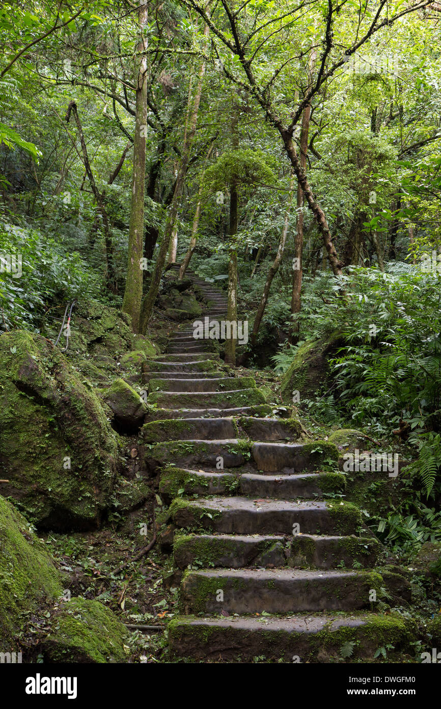Long flight stairs hi-res stock photography and images - Alamy