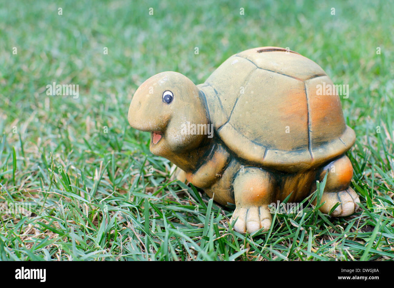 Happy Turtle Toothbrush