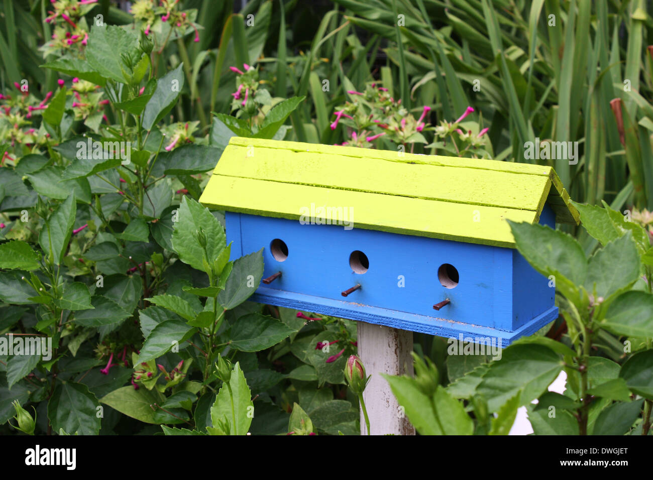 Blue green bird house in a garden Stock Photo - Alamy