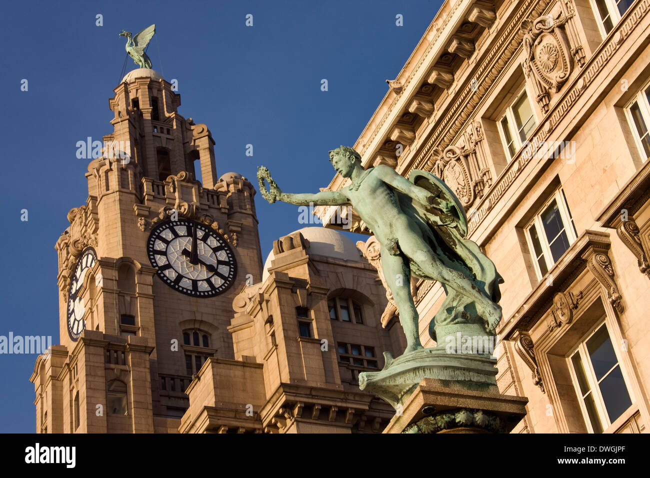 The Liver Building in the city of Liverpool in northwest England Stock ...