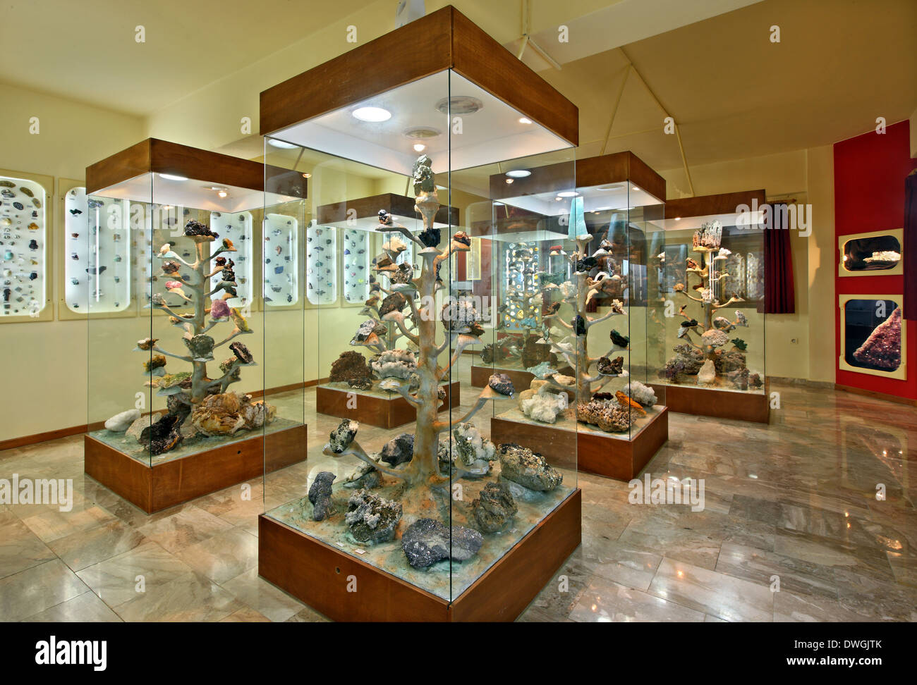 Inside thhe Kotsiomytis Natural History Museum in Lygourio village ...