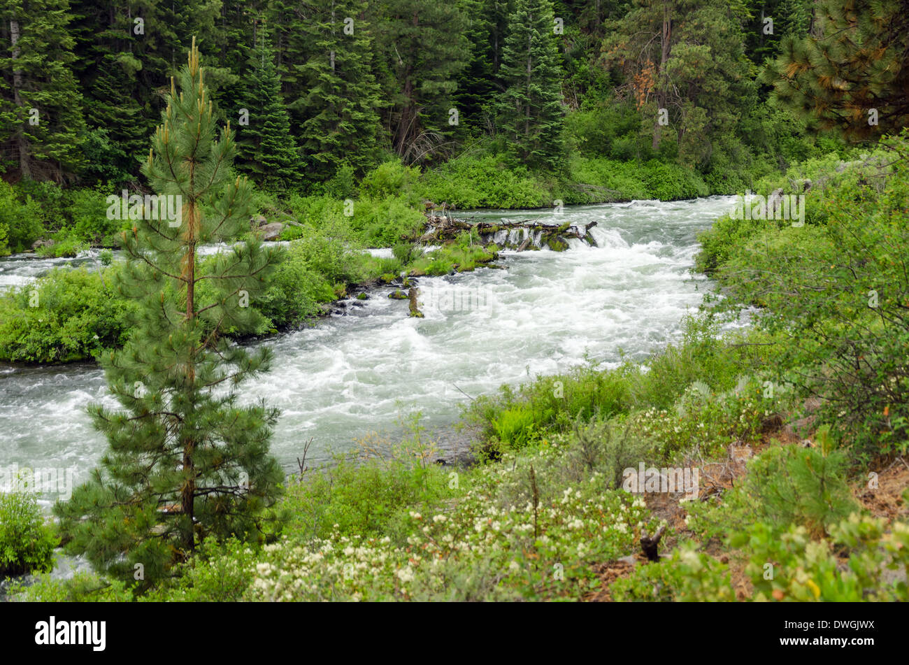 Deschutes river hi-res stock photography and images - Alamy