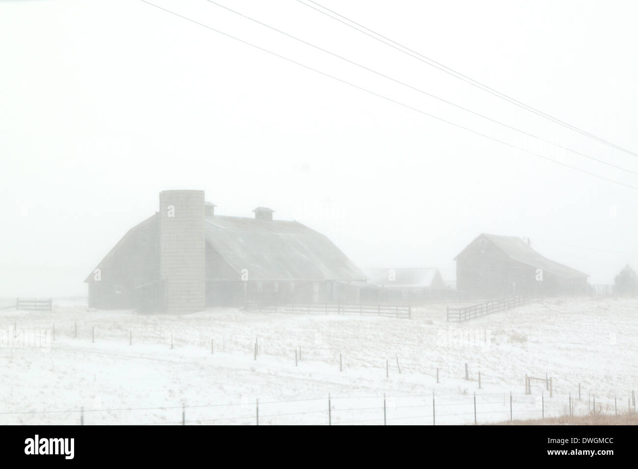 Barns nearly hidden by snowfall during a blizzard Stock Photo - Alamy
