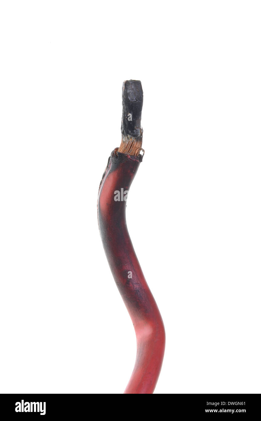 Damage to the cables in electrical power networks Stock Photo - Alamy