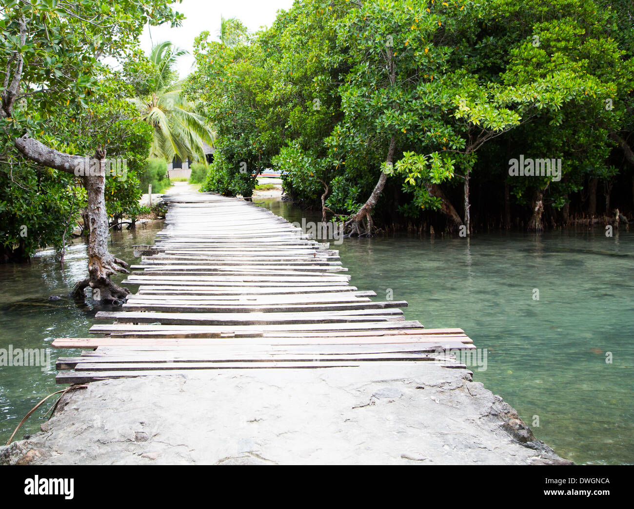 Hand made bridge constructed by locals in Madagascar Stock Photo - Alamy Hand made bridge constructed by locals in Madagascar Stock Photo - Alamy