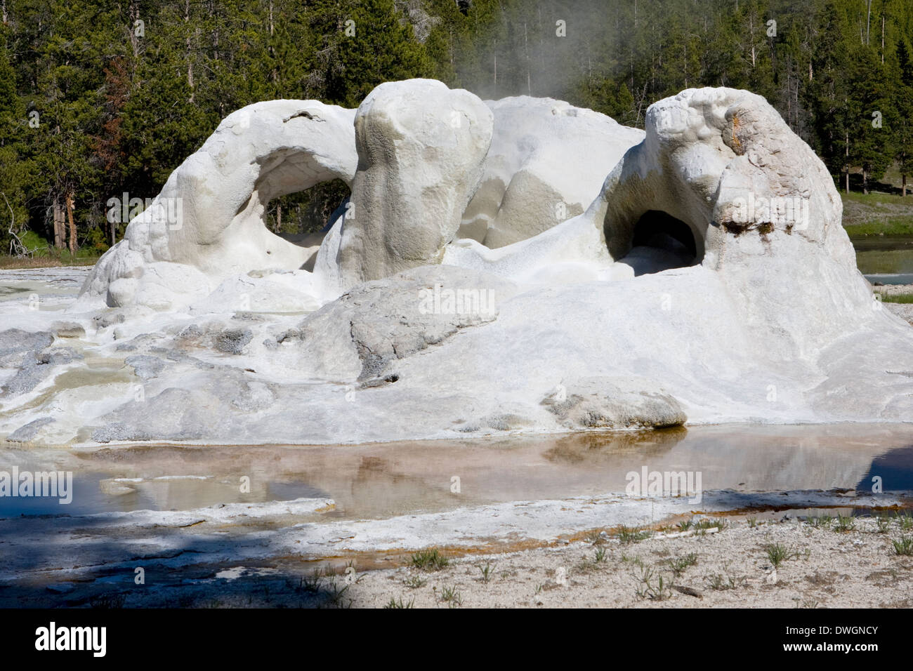 Grotto geyser erupts in upper geyser basin hi-res stock photography and ...