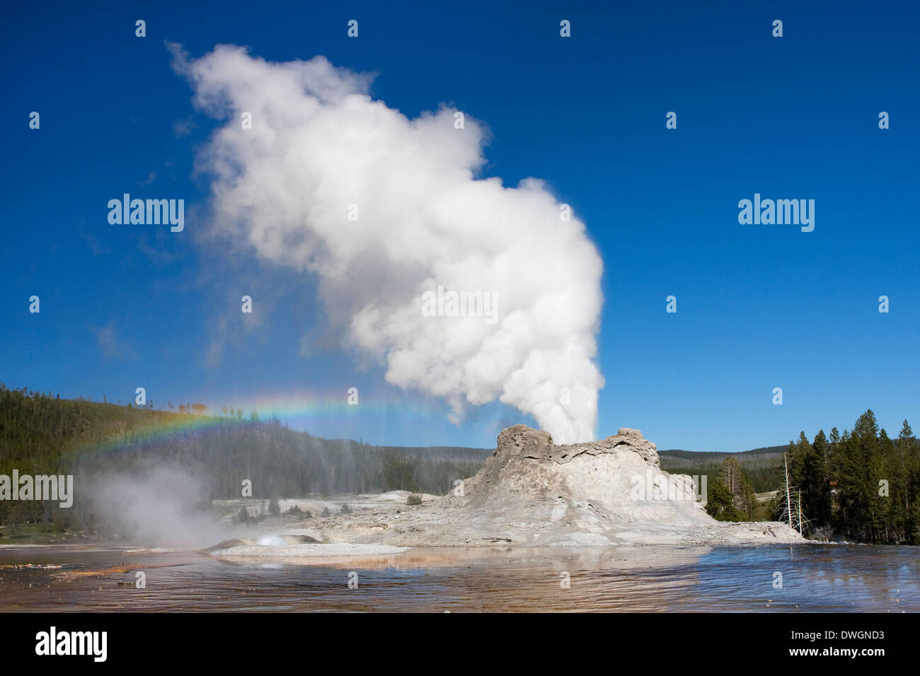 A rainbow appears above Castle Geyser during its eruption in Upper ...
