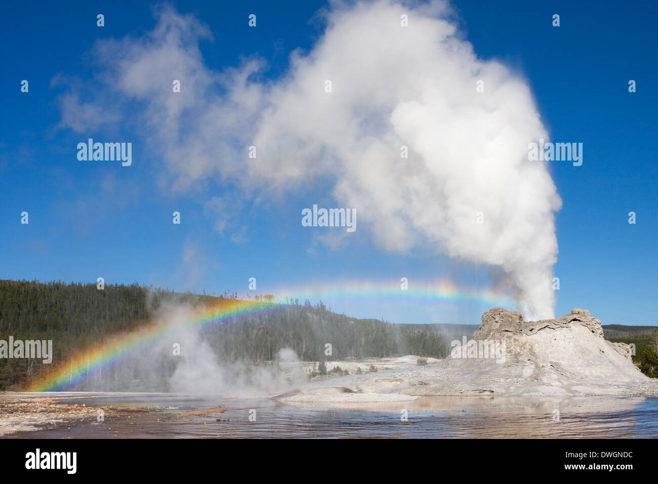 A rainbow appears above Castle Geyser during eruption in Upper Geyser ...