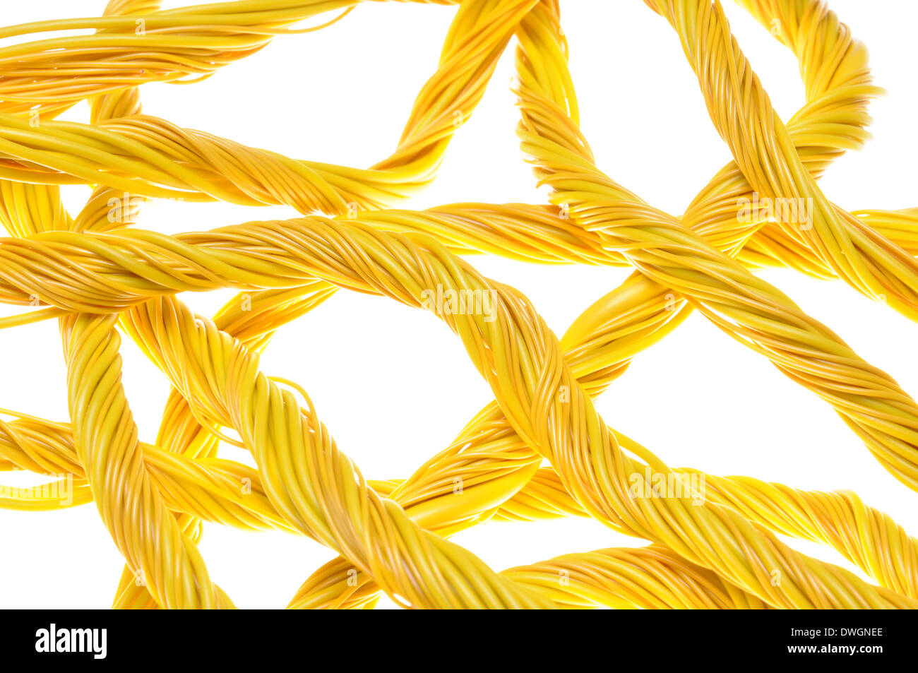 Yellow computer cable isolated on white background Stock Photo - Alamy