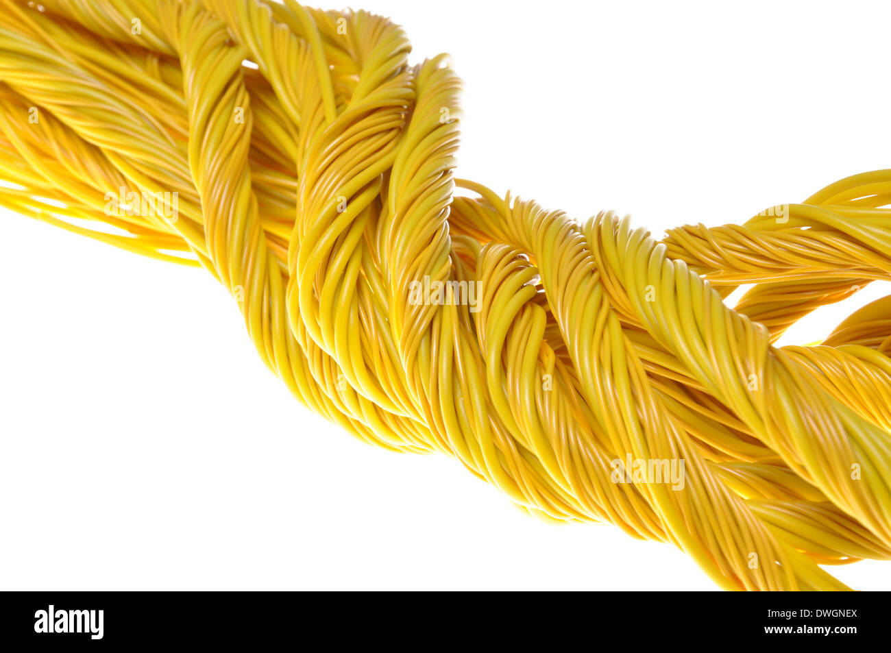 Yellow computer cable isolated on white background Stock Photo - Alamy