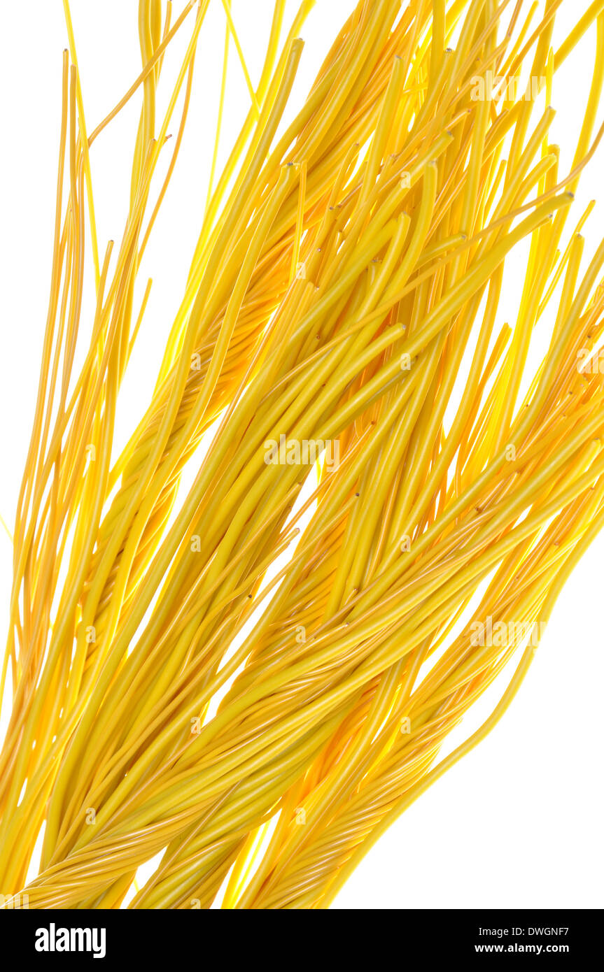 Yellow computer cable isolated on white background Stock Photo - Alamy