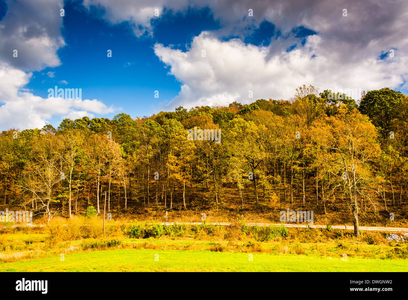 Early autumn color and a country road in rural York County ...