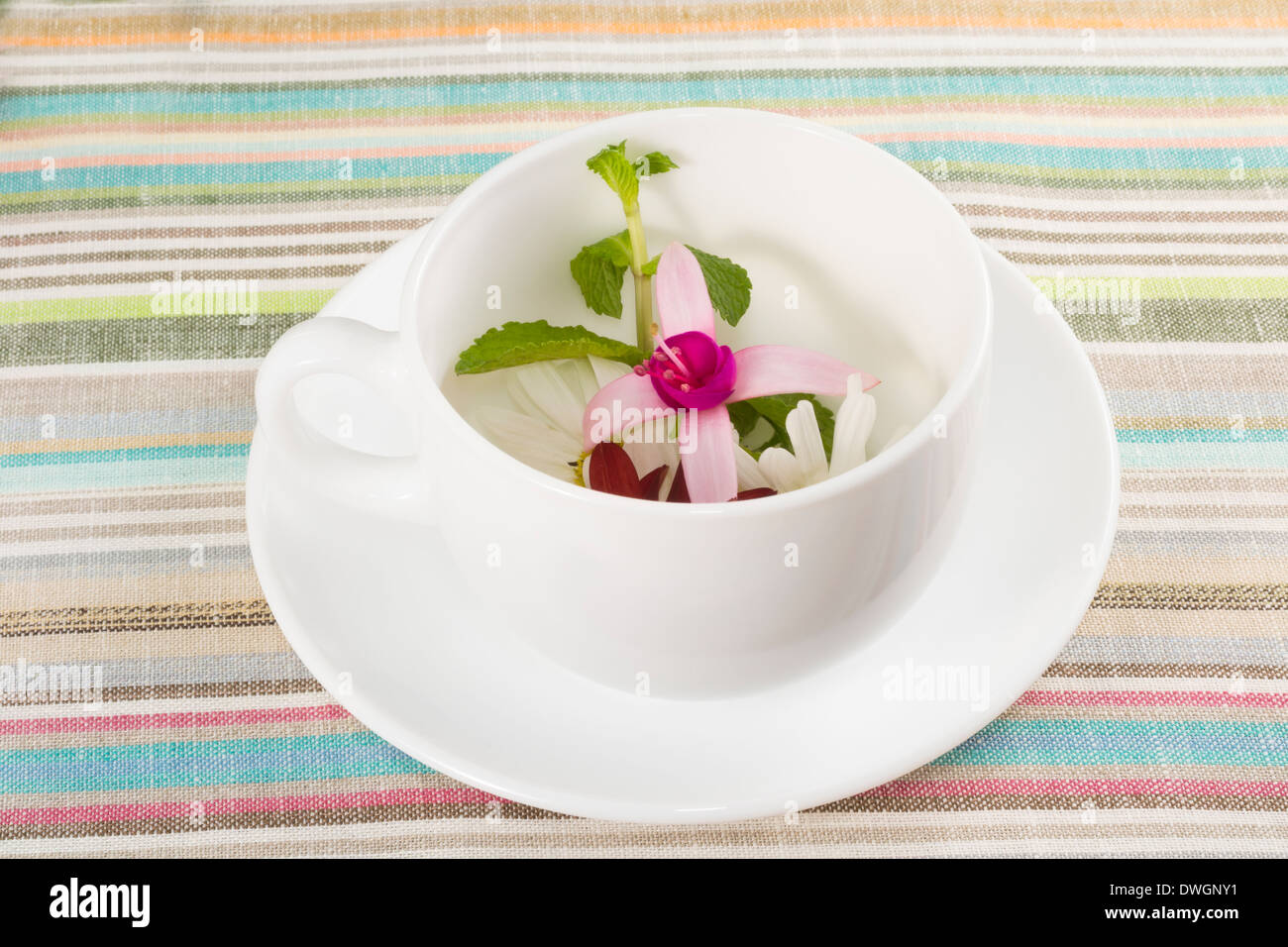 concept of Springtime Tea with fresh flower Stock Photo - Alamy