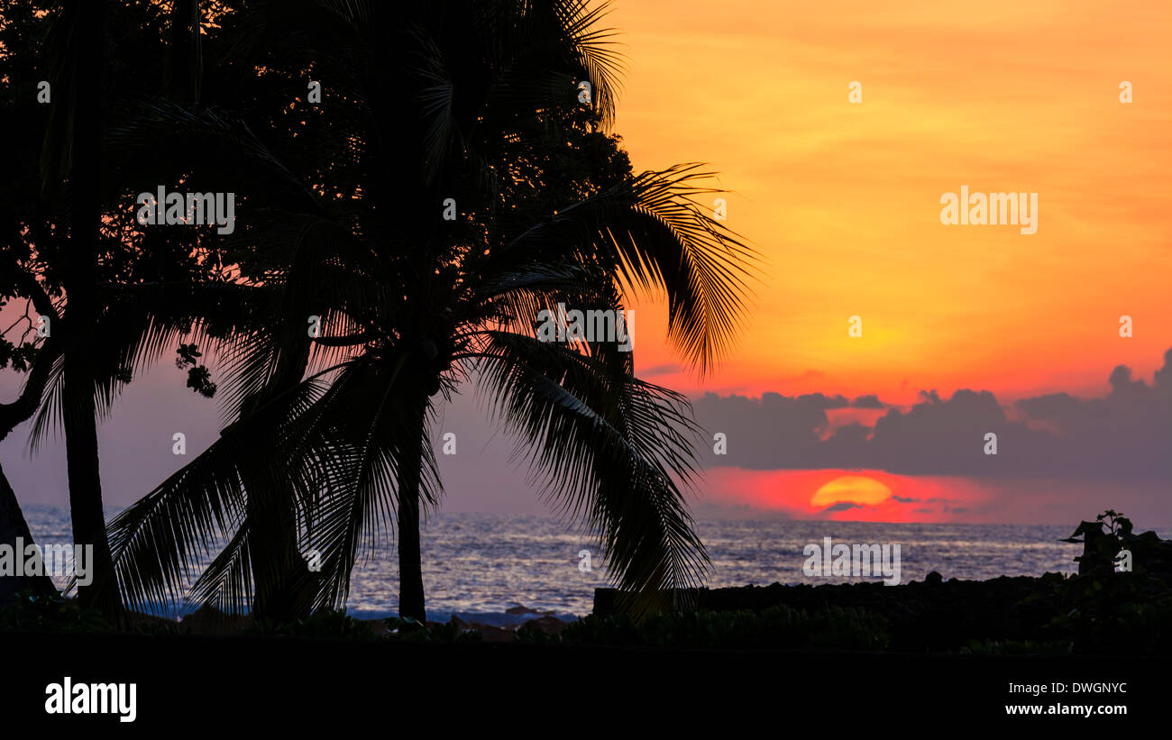 Hapaialii hi-res stock photography and images - Alamy