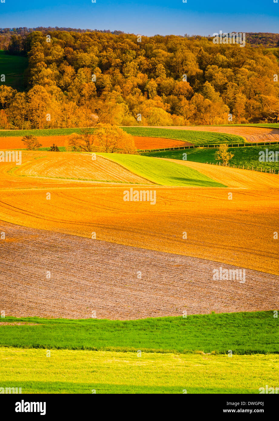 Evening light on farm fields in rural York County, Pennsylvania Stock ...