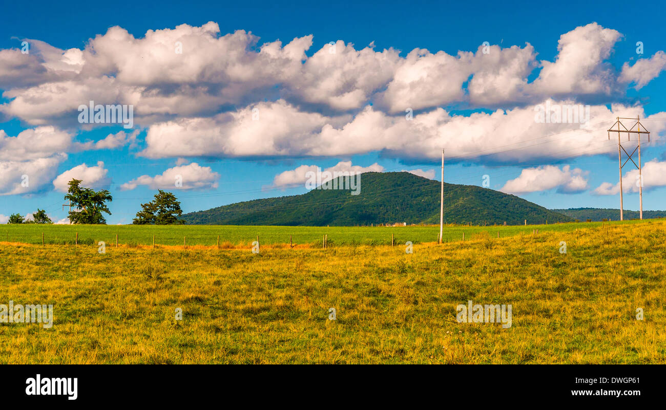Farm landscape corn hi-res stock photography and images - Alamy