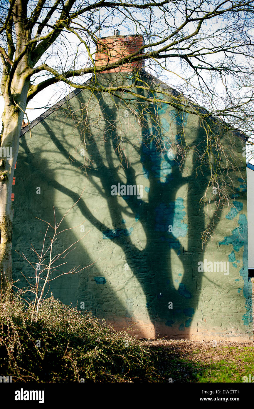 Shadow of a tree on house in winter Stock Photo - Alamy